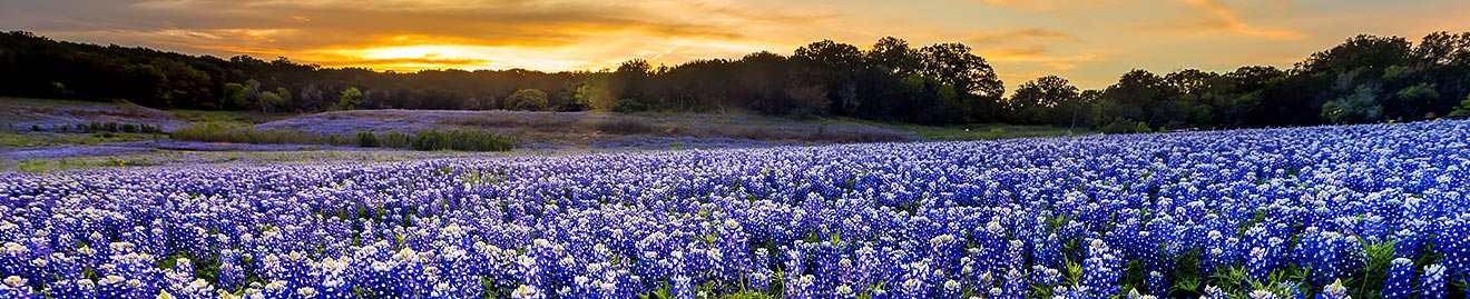 Kerrville Cataract Surgeon and Ophthalmologist Dr. Russell Cravey
